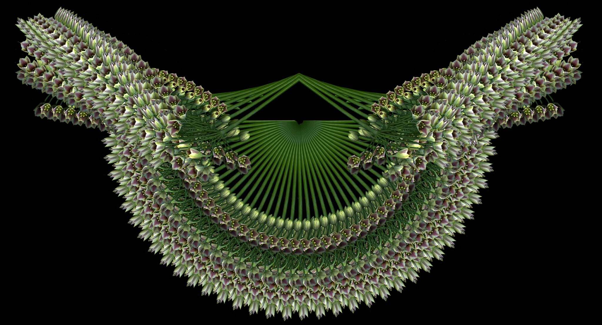 Scanner art – Page 5 – Ellis Hollow