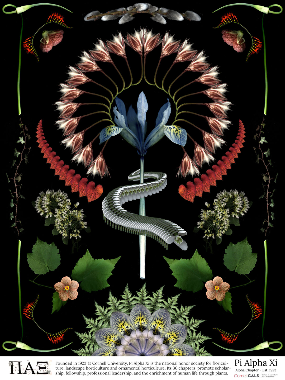 Scanner art – Page 2 – Ellis Hollow