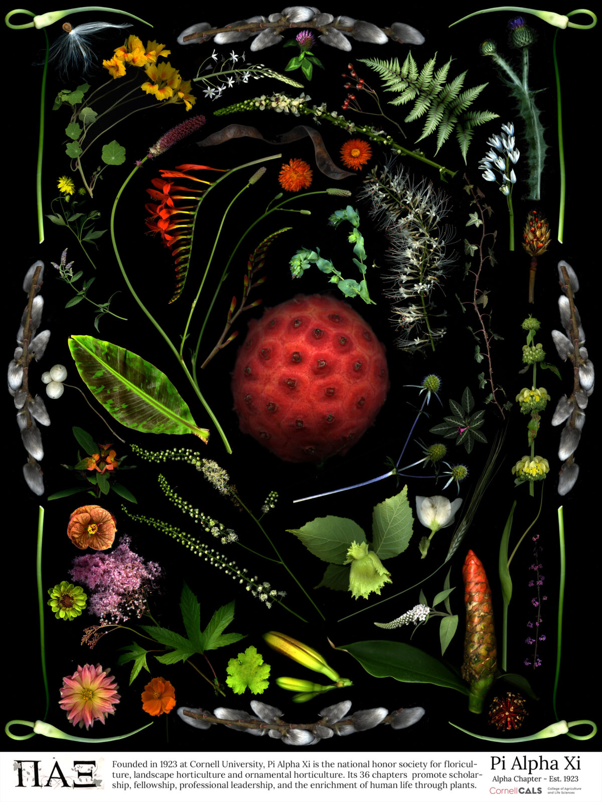 Scanner art – Ellis Hollow