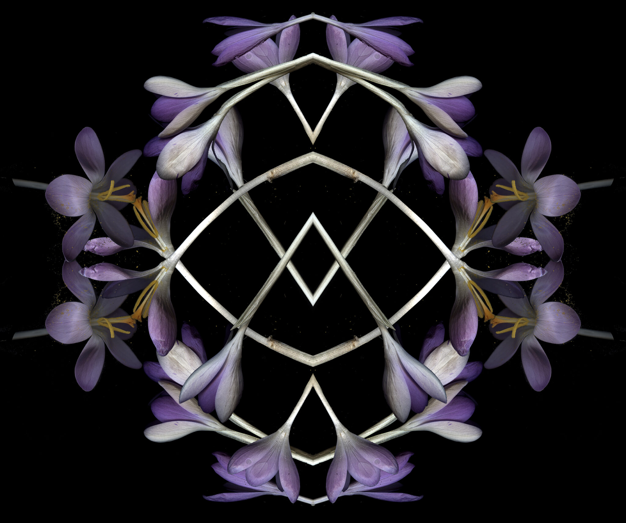 Scanner art – Ellis Hollow