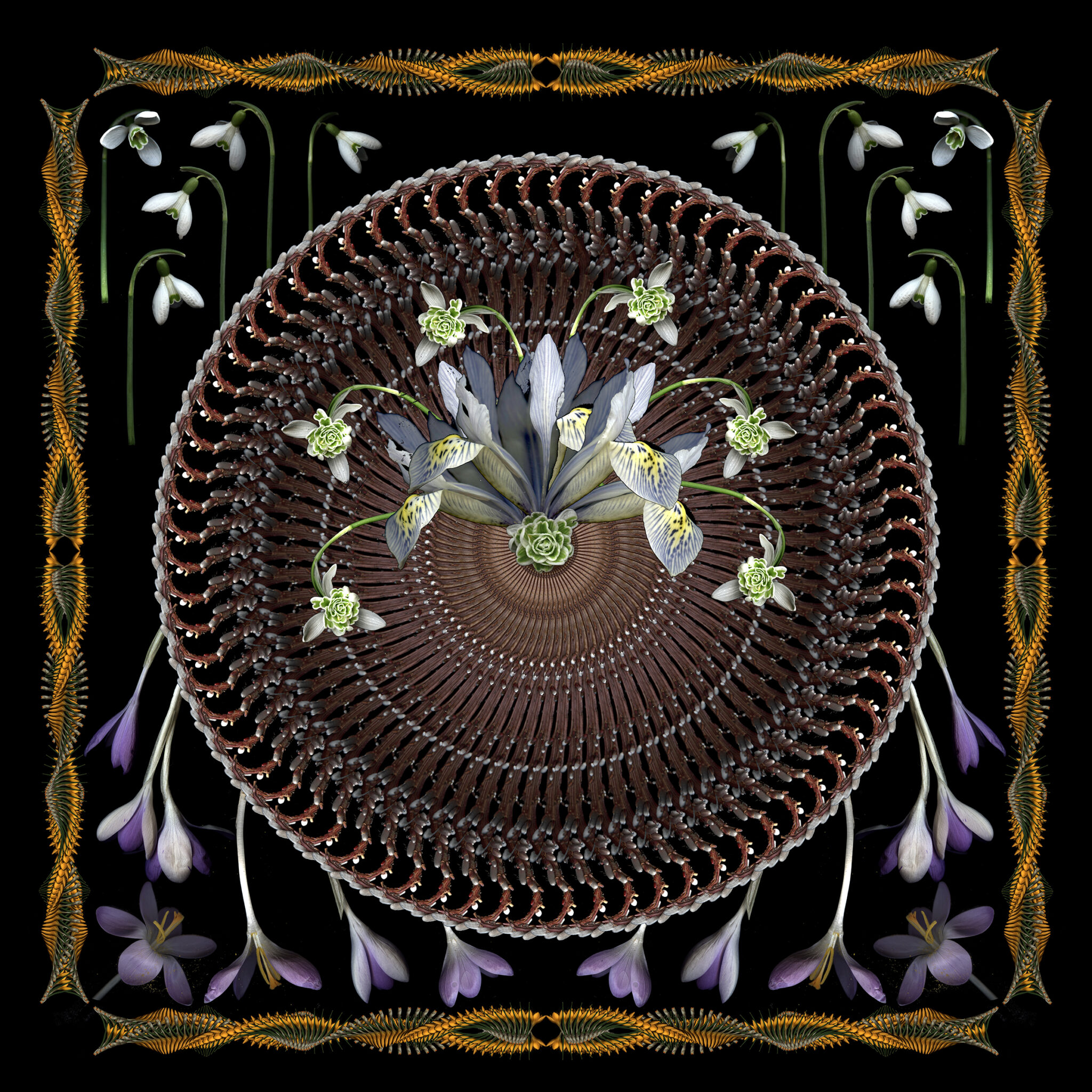 Scanner art – Ellis Hollow